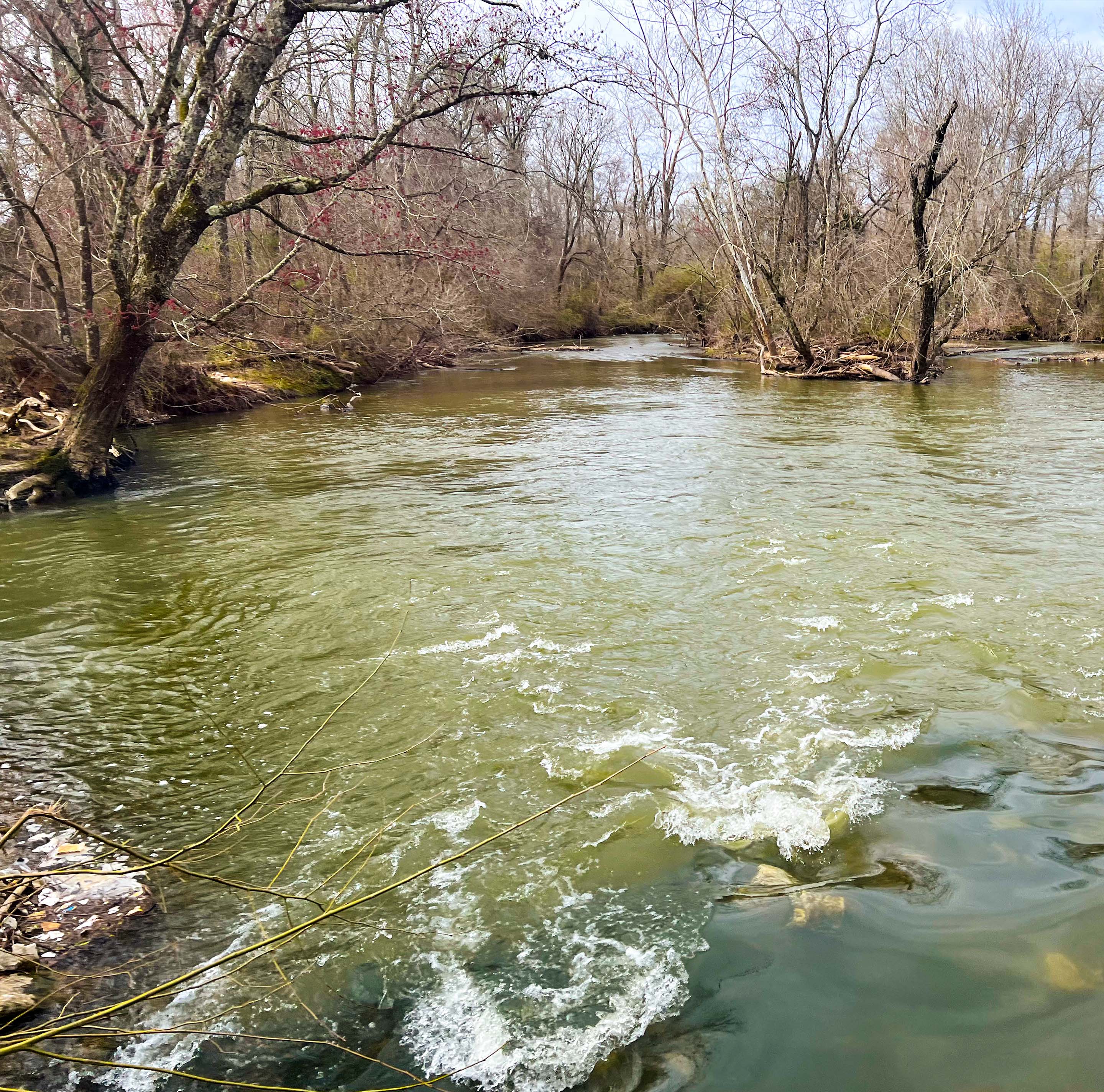 Choccolocco Creek PCB Cleanup And Remediation